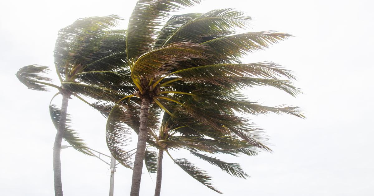 Staying Safe During Hurricanes | SettleIn US